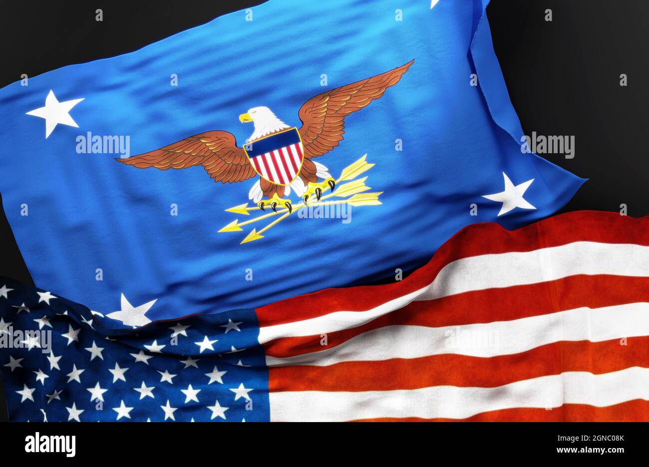 Secretary Of Defense Flag