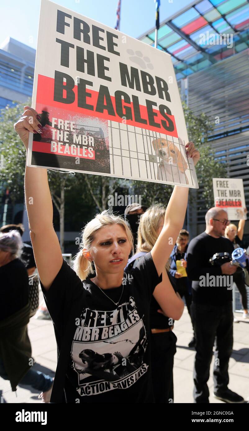 Mbr acres ltd hi-res stock photography and images - Alamy