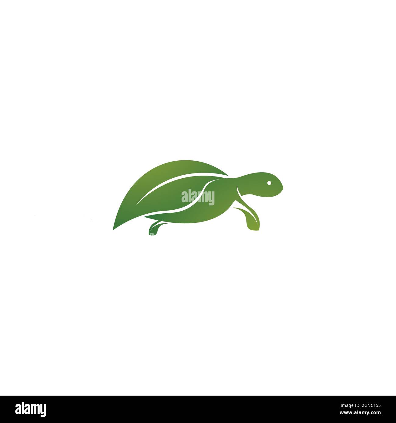Turtle design logo vector. Turtle animal vector Stock Vector Image ...