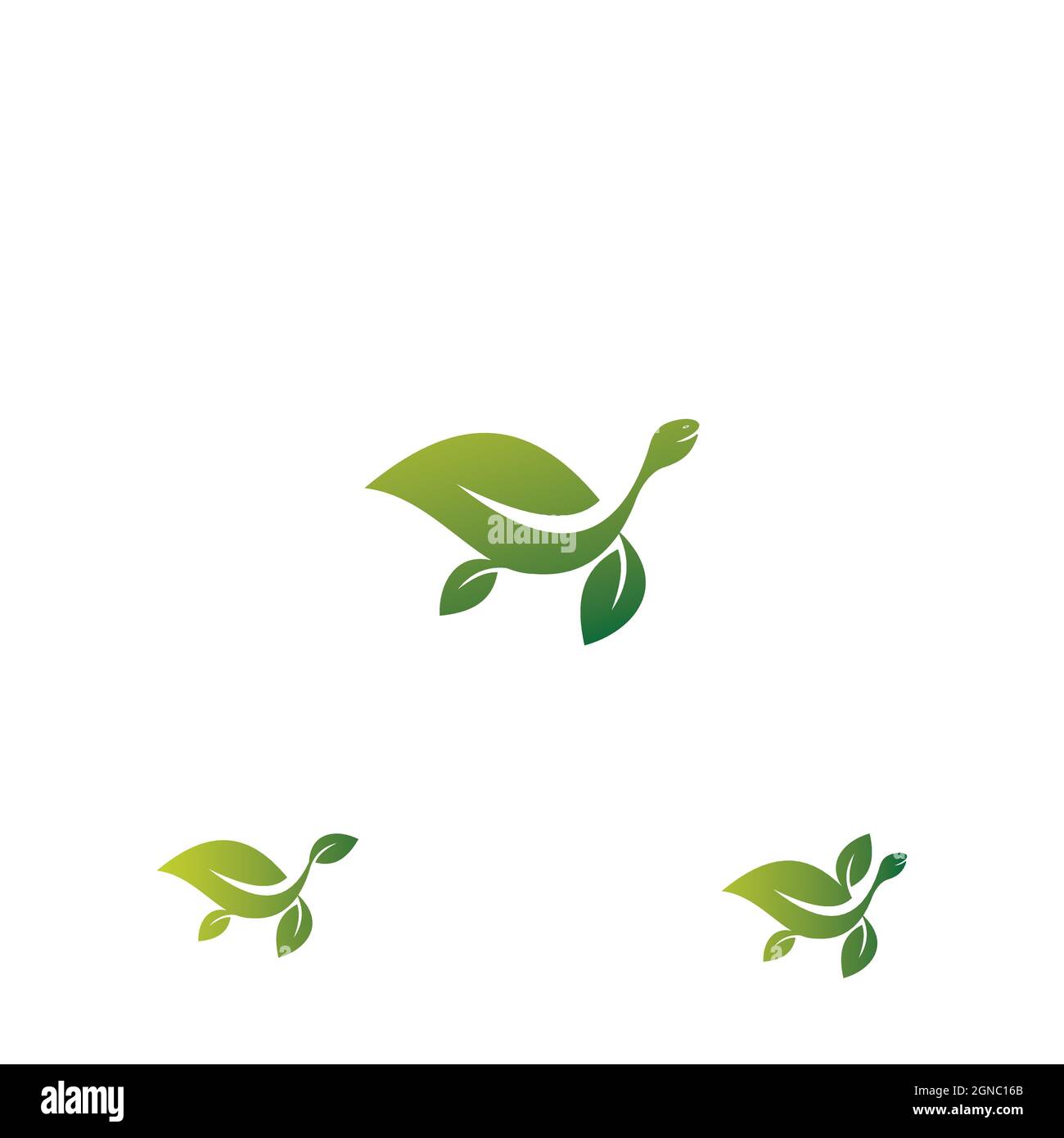 Turtle design logo vector. Turtle animal vector Stock Vector Image ...