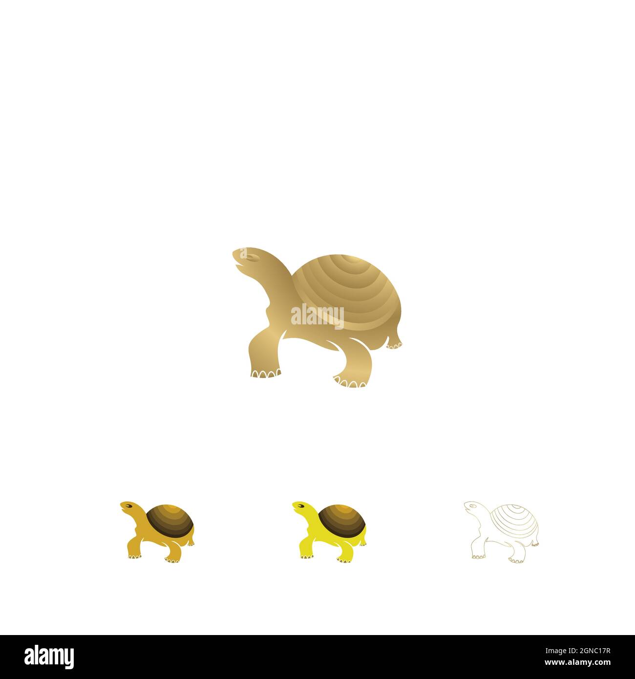 Turtle design logo vector. Turtle animal vector Stock Vector Image ...