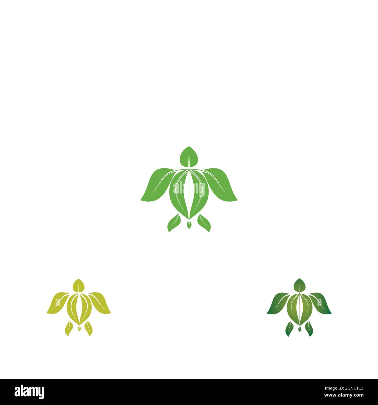 Turtle design logo vector. Turtle animal vector Stock Vector Image ...