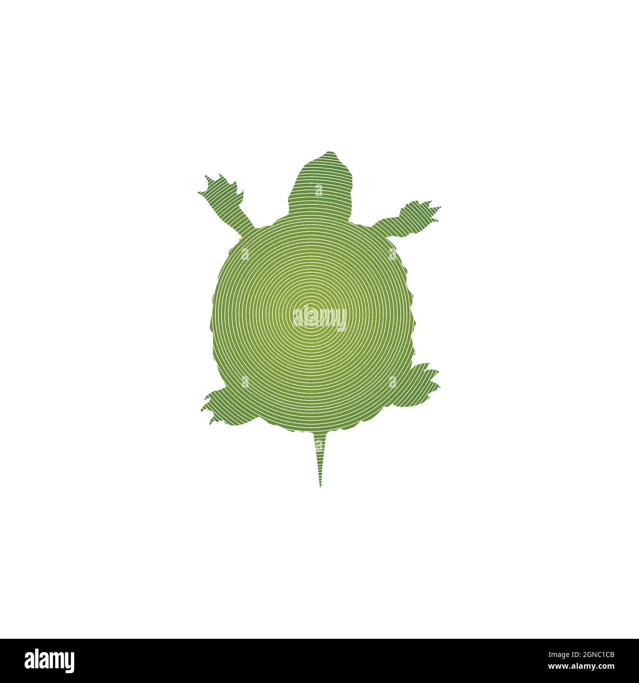 Turtle design logo vector. Turtle animal vector Stock Vector Image ...