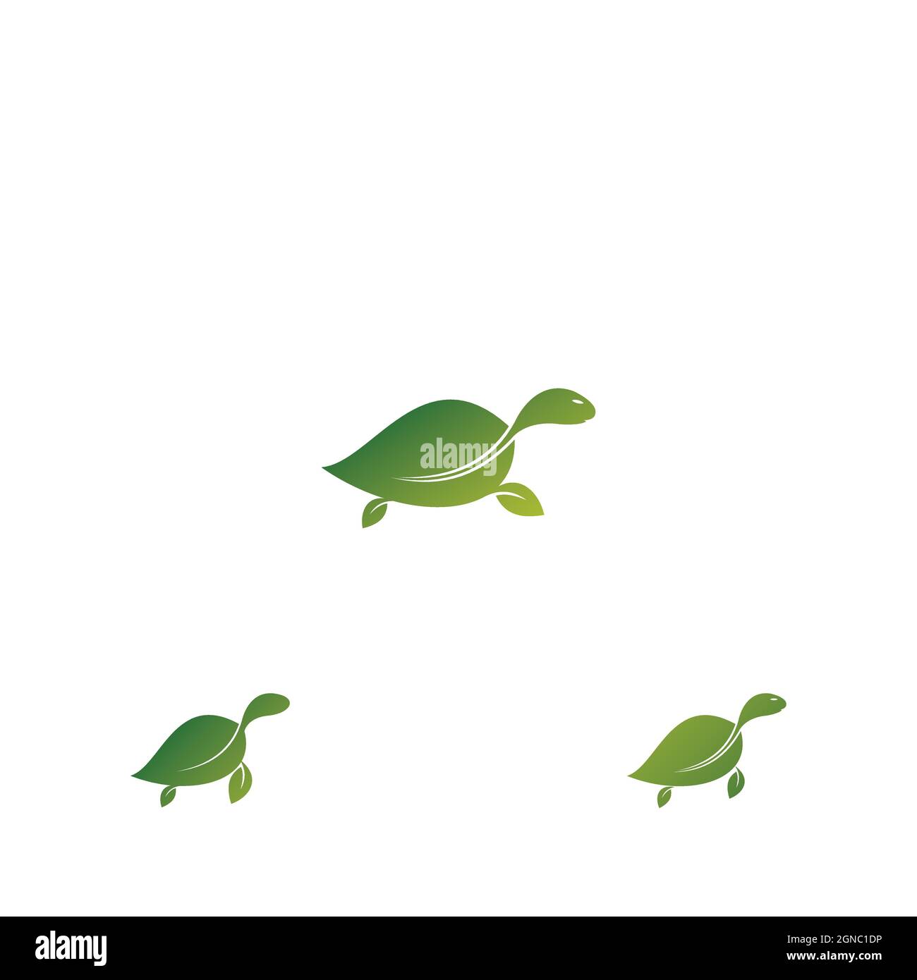 Turtle design logo vector. Turtle animal vector Stock Vector Image ...
