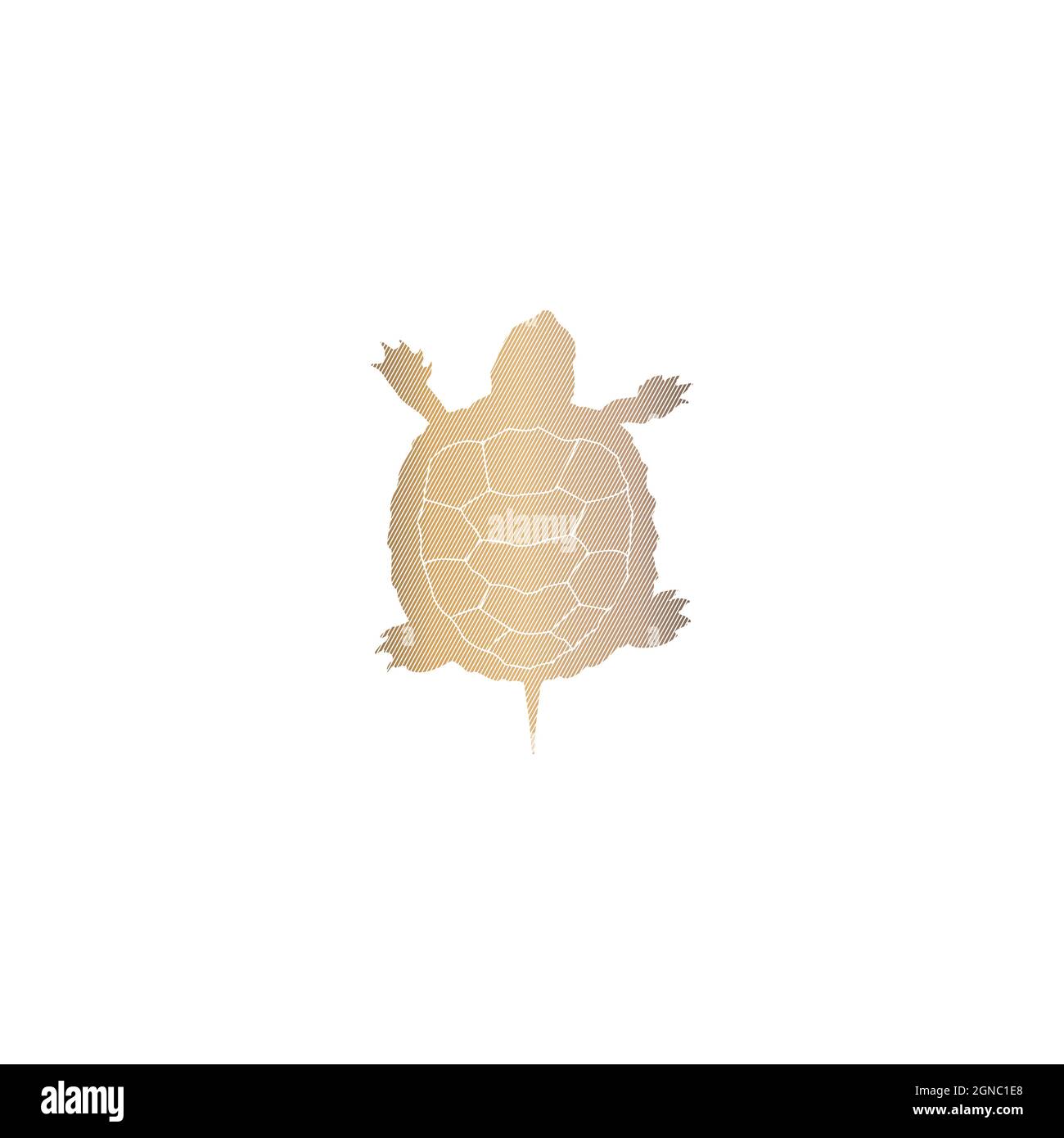 Turtle design logo vector. Turtle animal vector Stock Vector Image ...