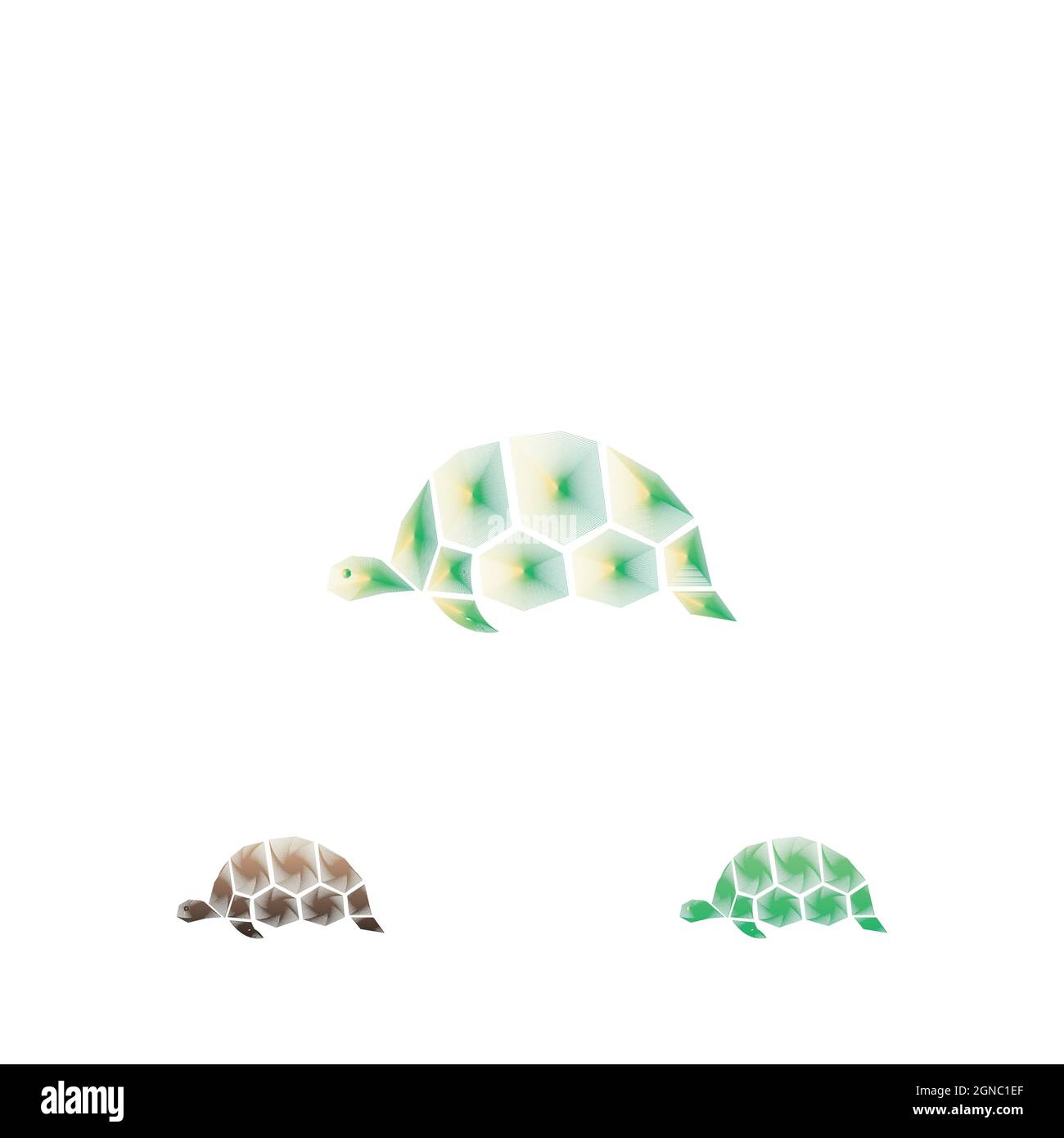 Turtle design logo vector. Turtle animal vector Stock Vector Image ...