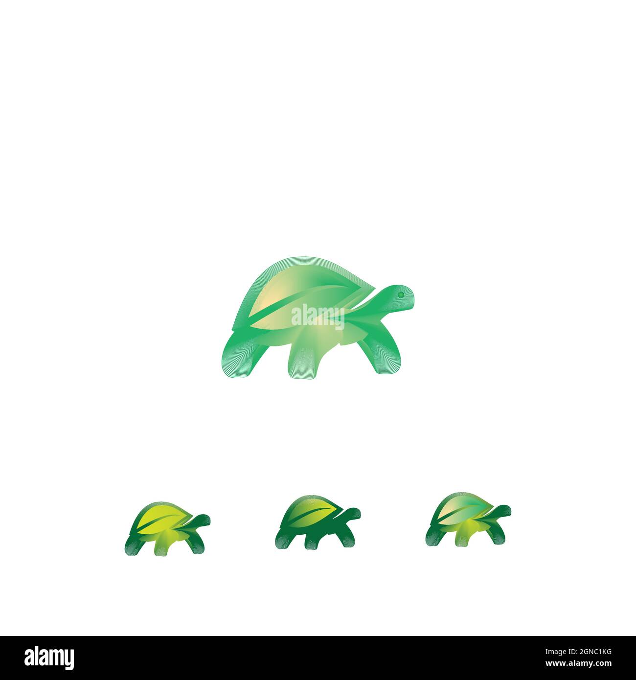 Turtle design logo vector. Turtle animal vector Stock Vector Image ...