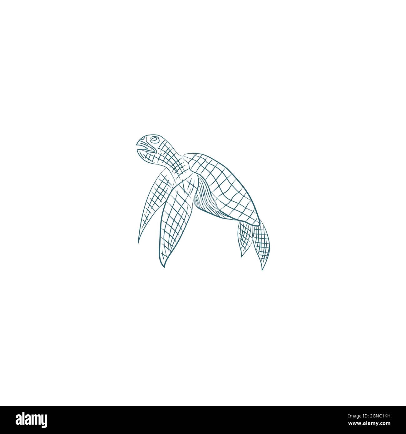 Turtles and tortoises Stock Vector Images - Alamy