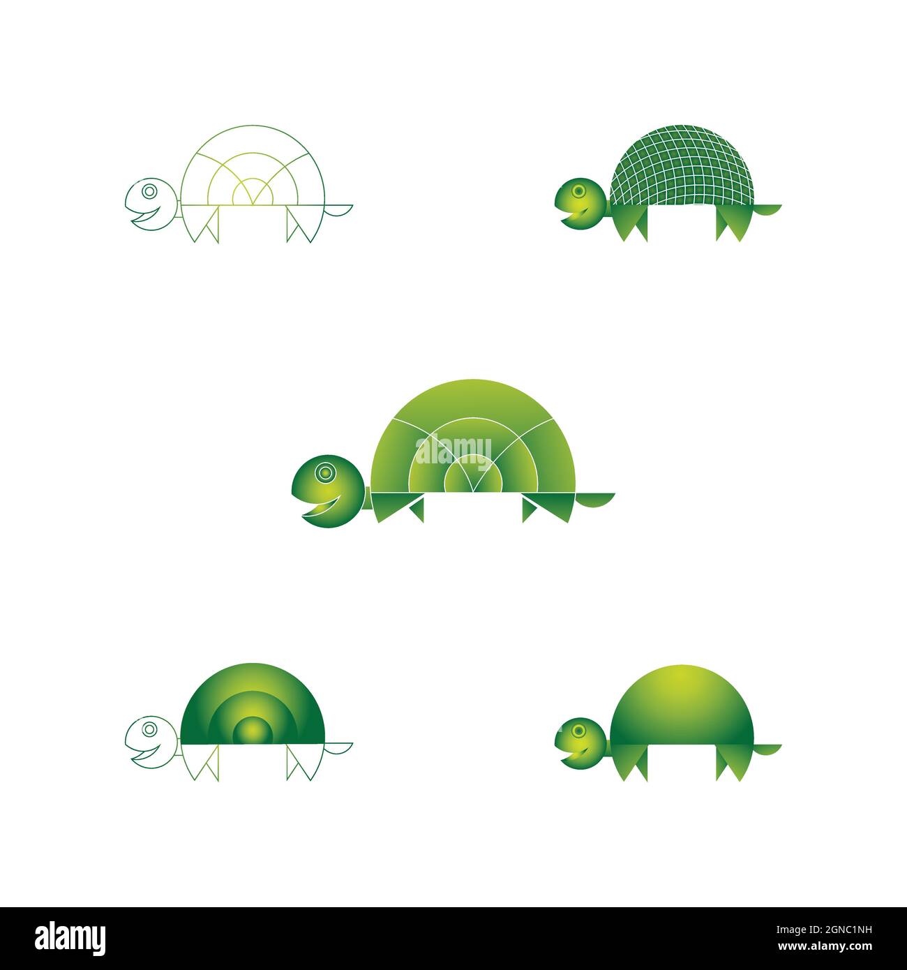 Turtle design logo vector. Turtle animal vector Stock Vector Image ...