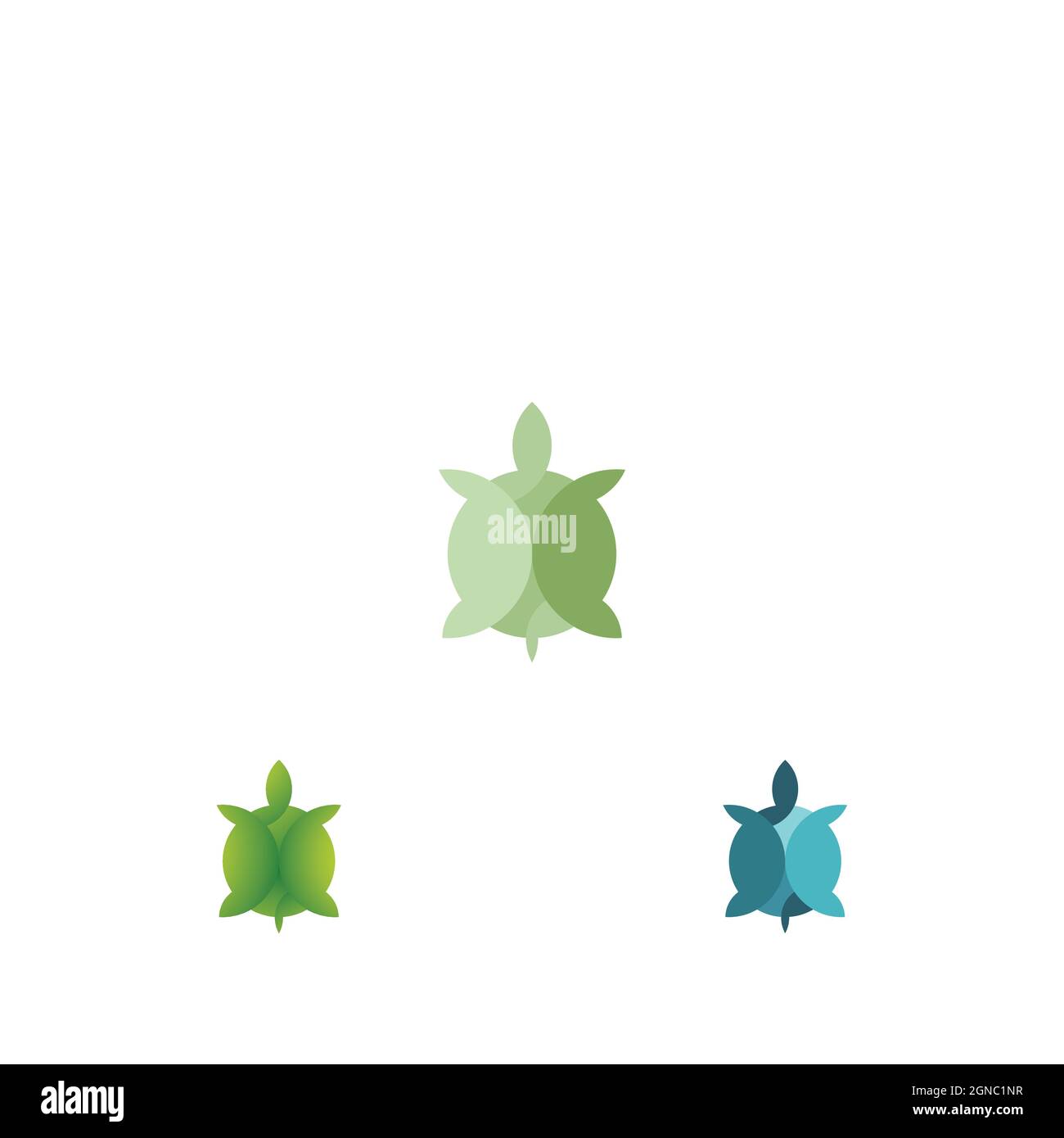 Turtle design logo vector. Turtle animal vector Stock Vector Image ...