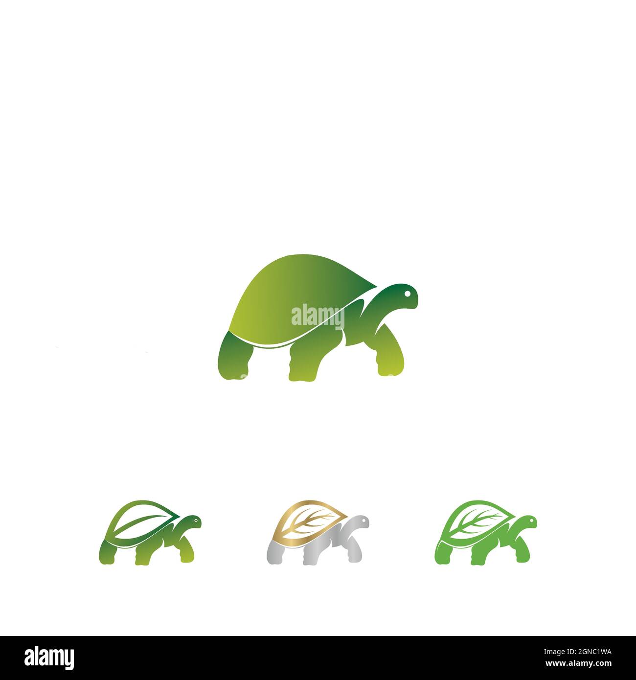 Turtle design logo vector. Turtle animal vector Stock Vector Image ...