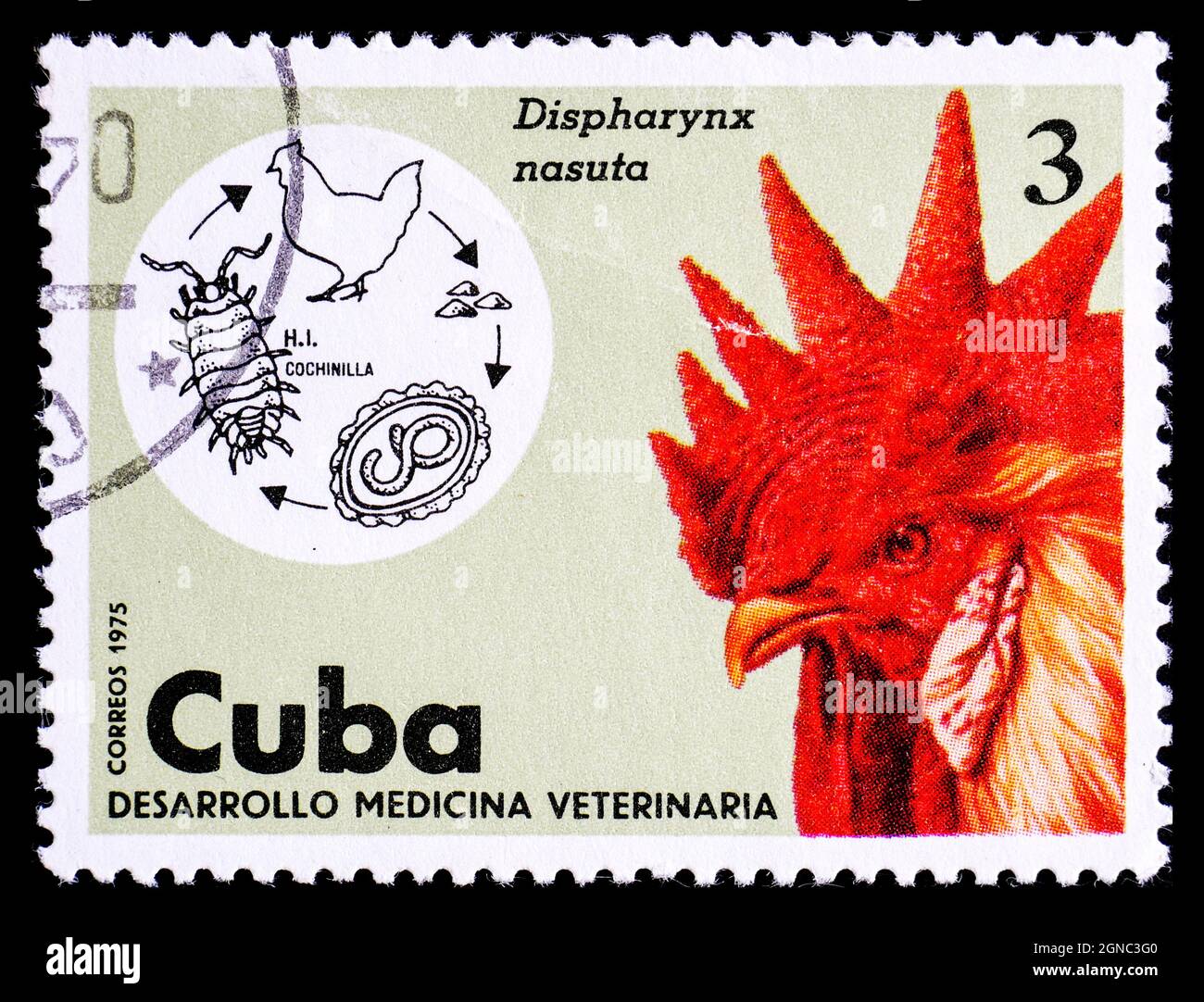 CUBA - CIRCA 1975: A stamp printed by Cuba shows the image of the ...