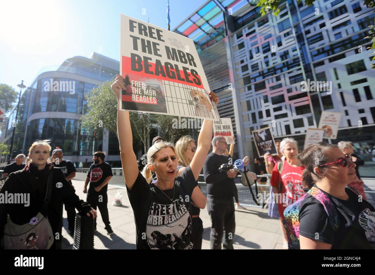 Mbr acres ltd hi-res stock photography and images - Alamy