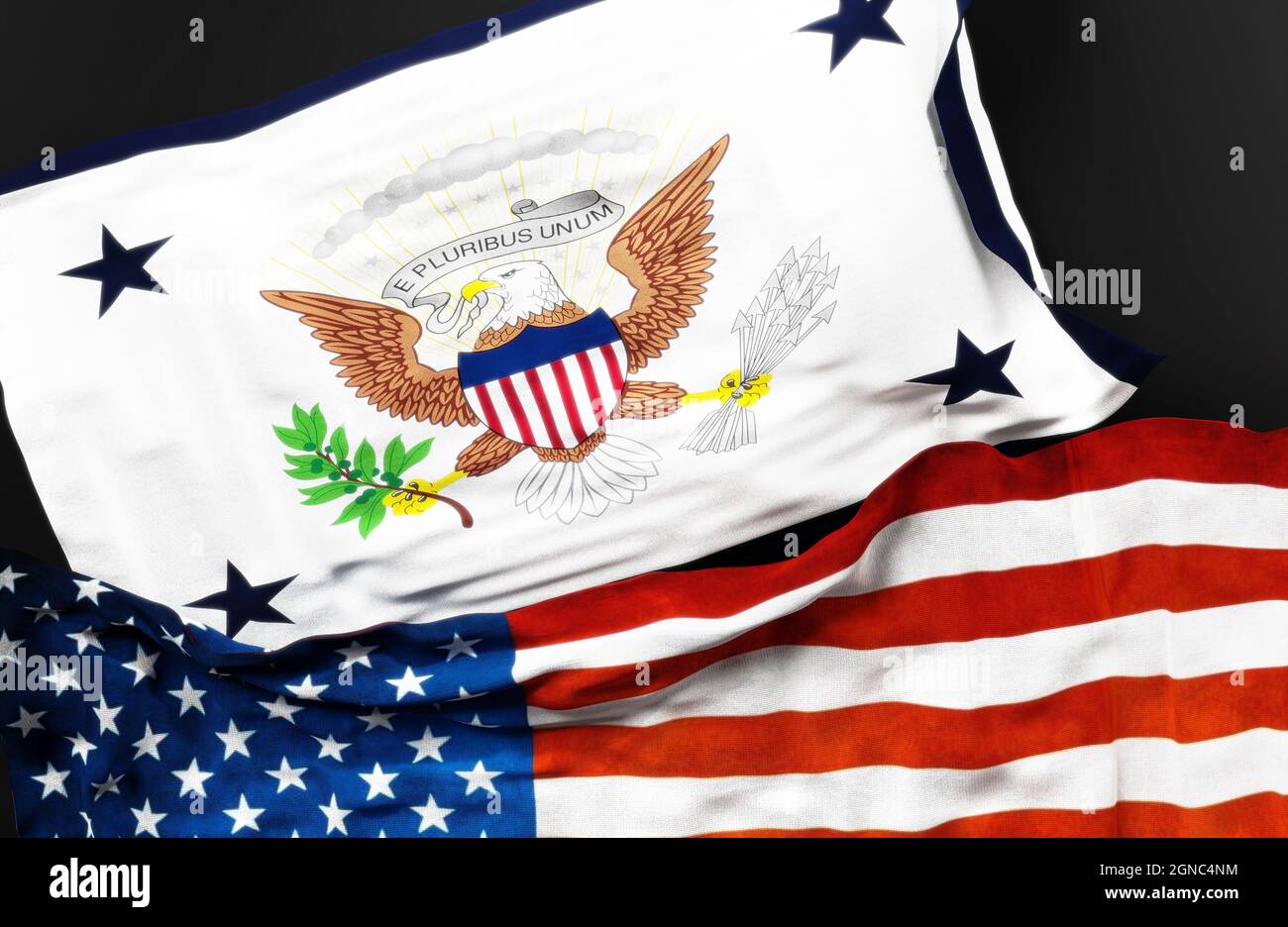 Flag of the Vice President of the United States fringed along with a ...