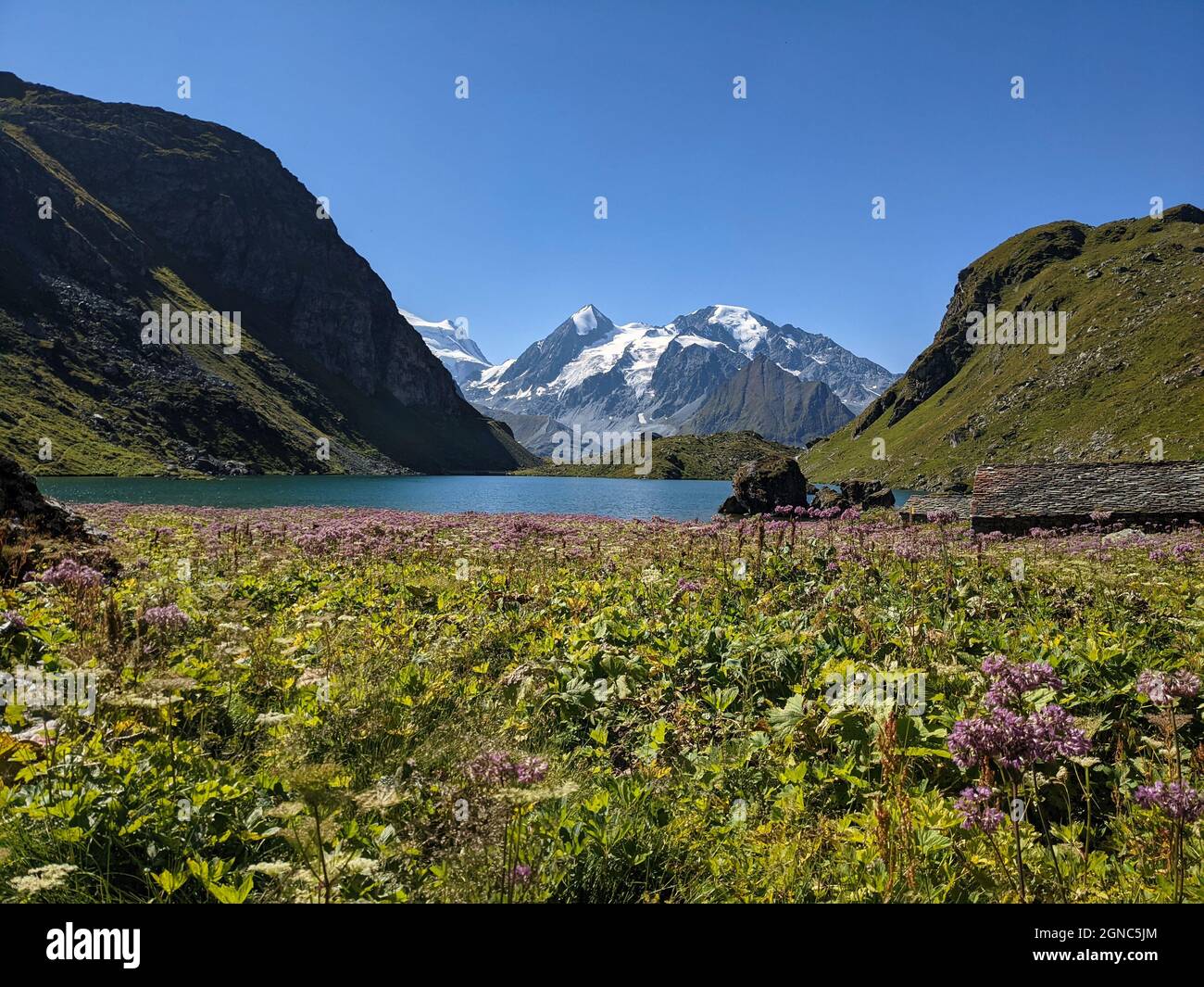 Lac de Louvie, mountain lake in valais and in the big mountains with ...