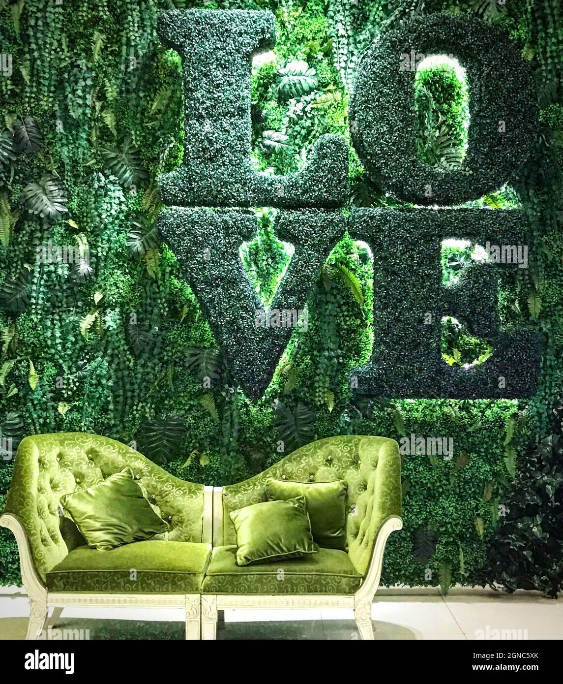 Interior design grass growing indoors hi-res stock photography and ...