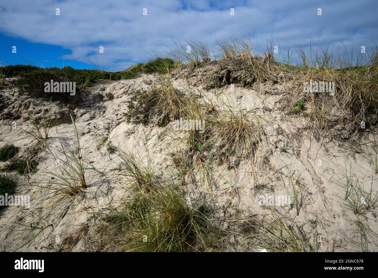 Solid ground hi-res stock photography and images - Alamy