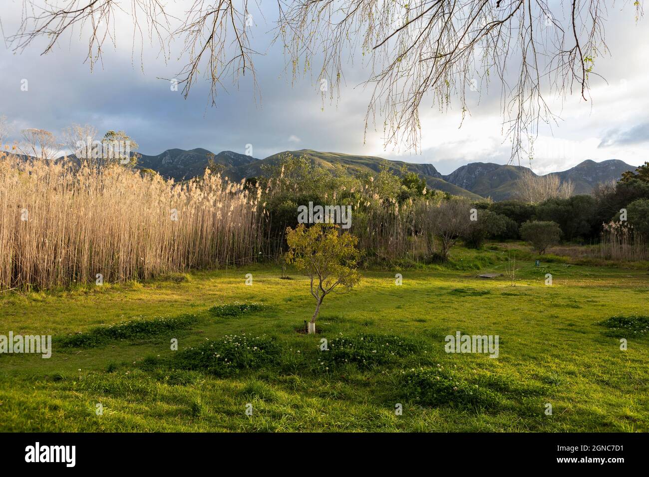 Wandel pad hi-res stock photography and images - Alamy
