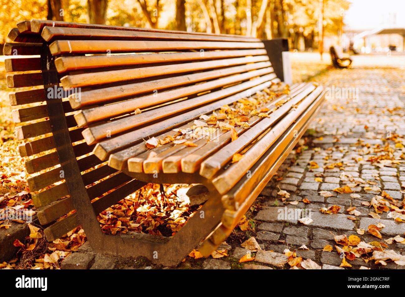 Empty wooden park bench covered with fallen leaves in the park in fall ...