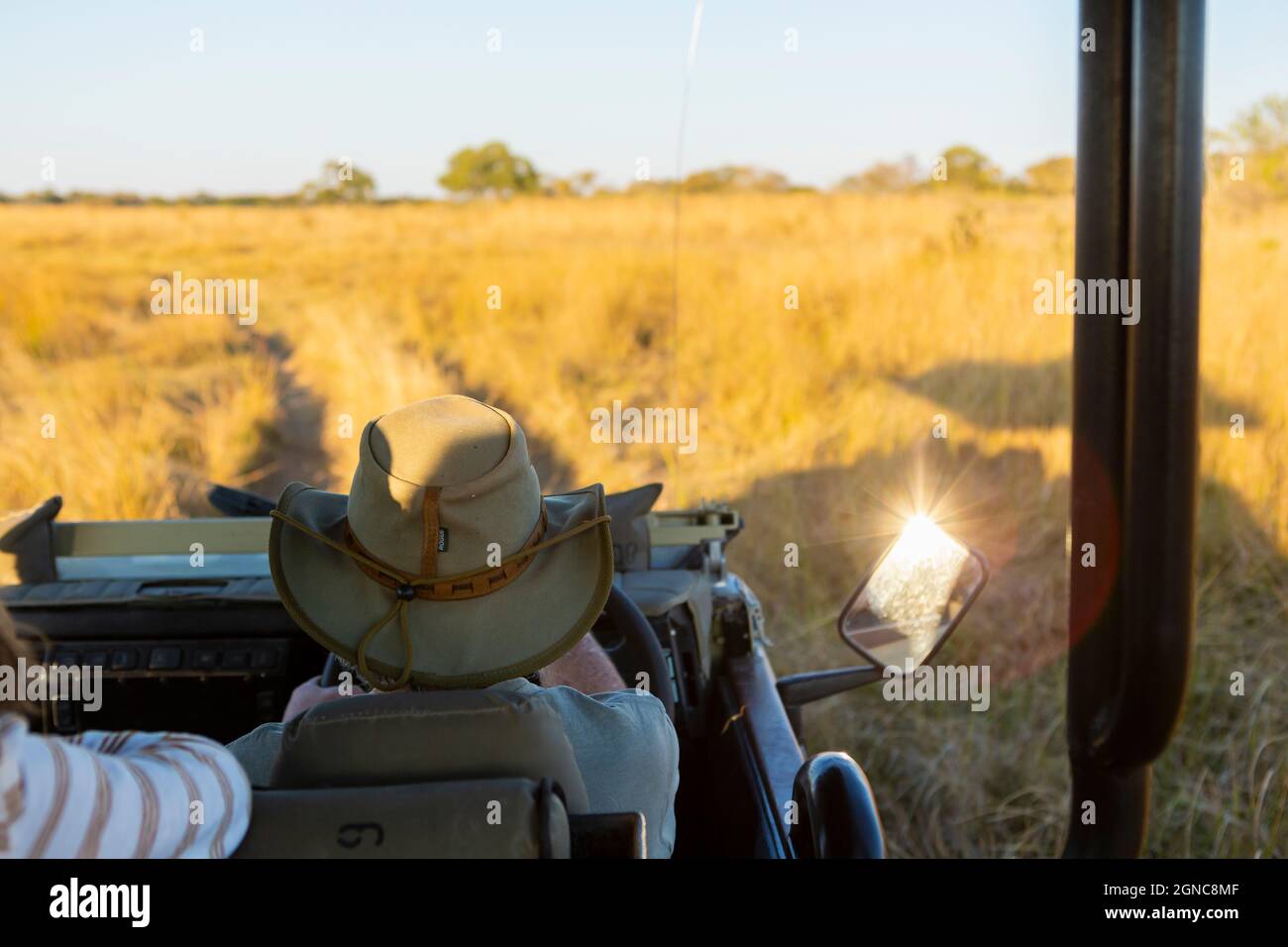 Safari vehicle at sunset, Okavango Delta, Botswana Stock Photo - Alamy