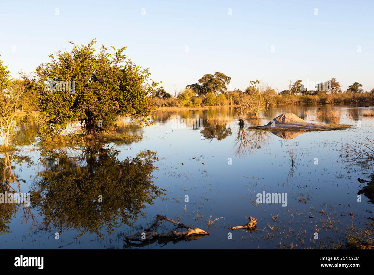 Landscape, Okavango Delta, Botswana Stock Photo - Alamy