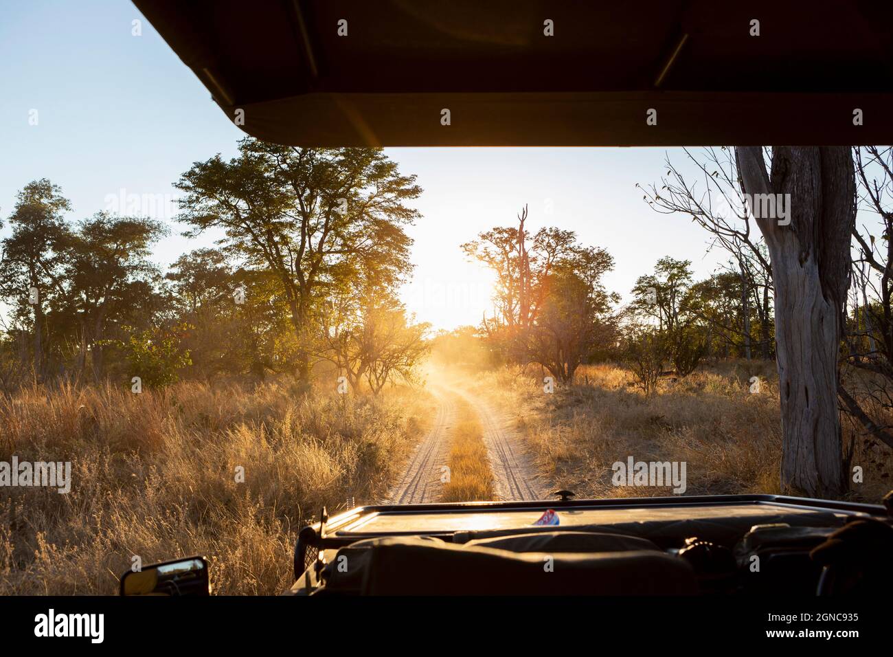 Sunrise okavango delta hi-res stock photography and images - Alamy