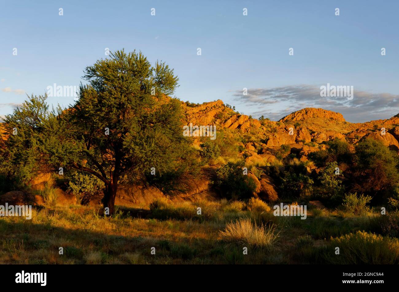 Granite hill on Farm Namibgrens in the Khomas Highland, Windhoek ...