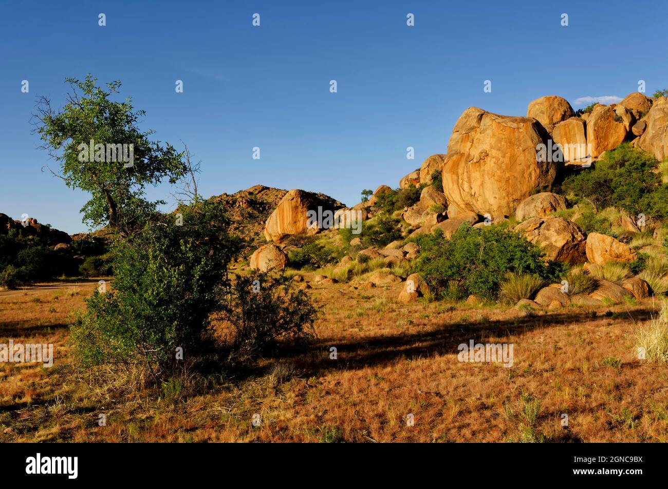 Granite rocks on Farm Namibgrens in the Khomas Highland, Windhoek ...