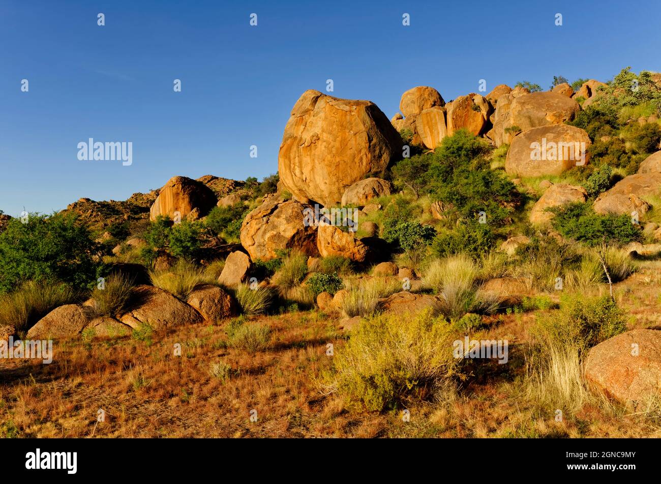 Granite rocks on Farm Namibgrens in the Khomas Highland, Windhoek ...