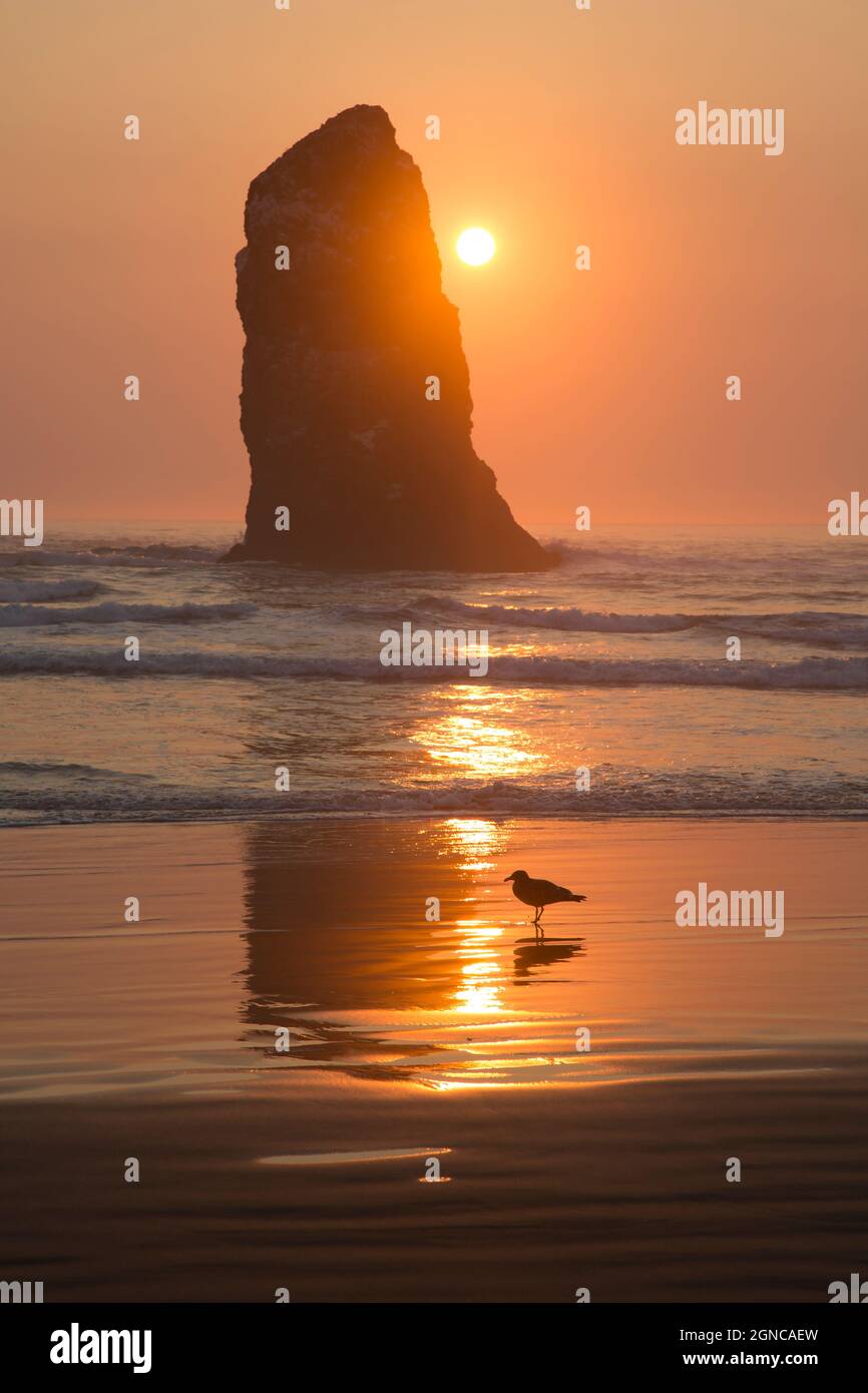 Sun setting behind rock in waves on beach Stock Photo - Alamy