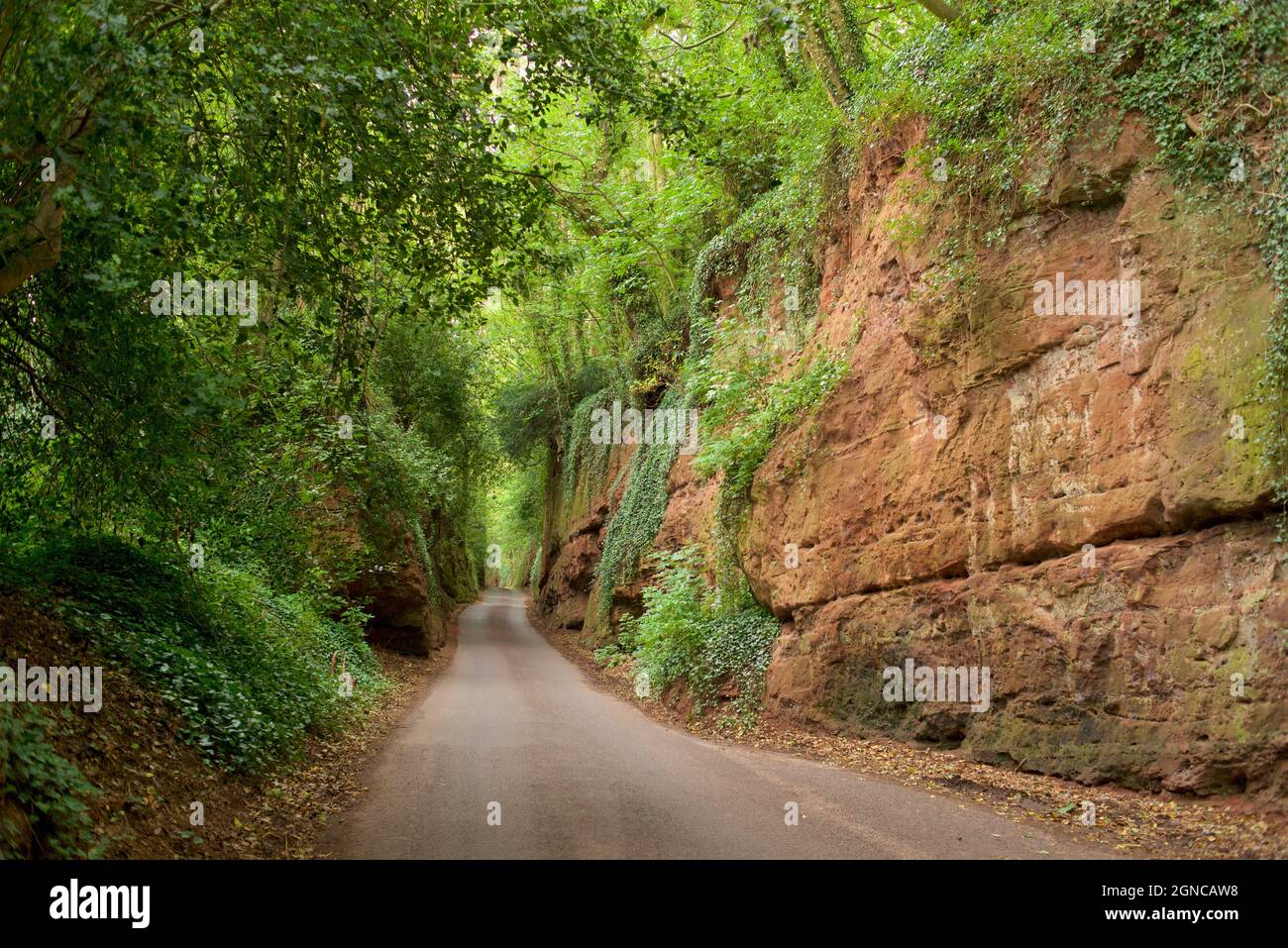 Hollow Way High Resolution Stock Photography and Images - Alamy