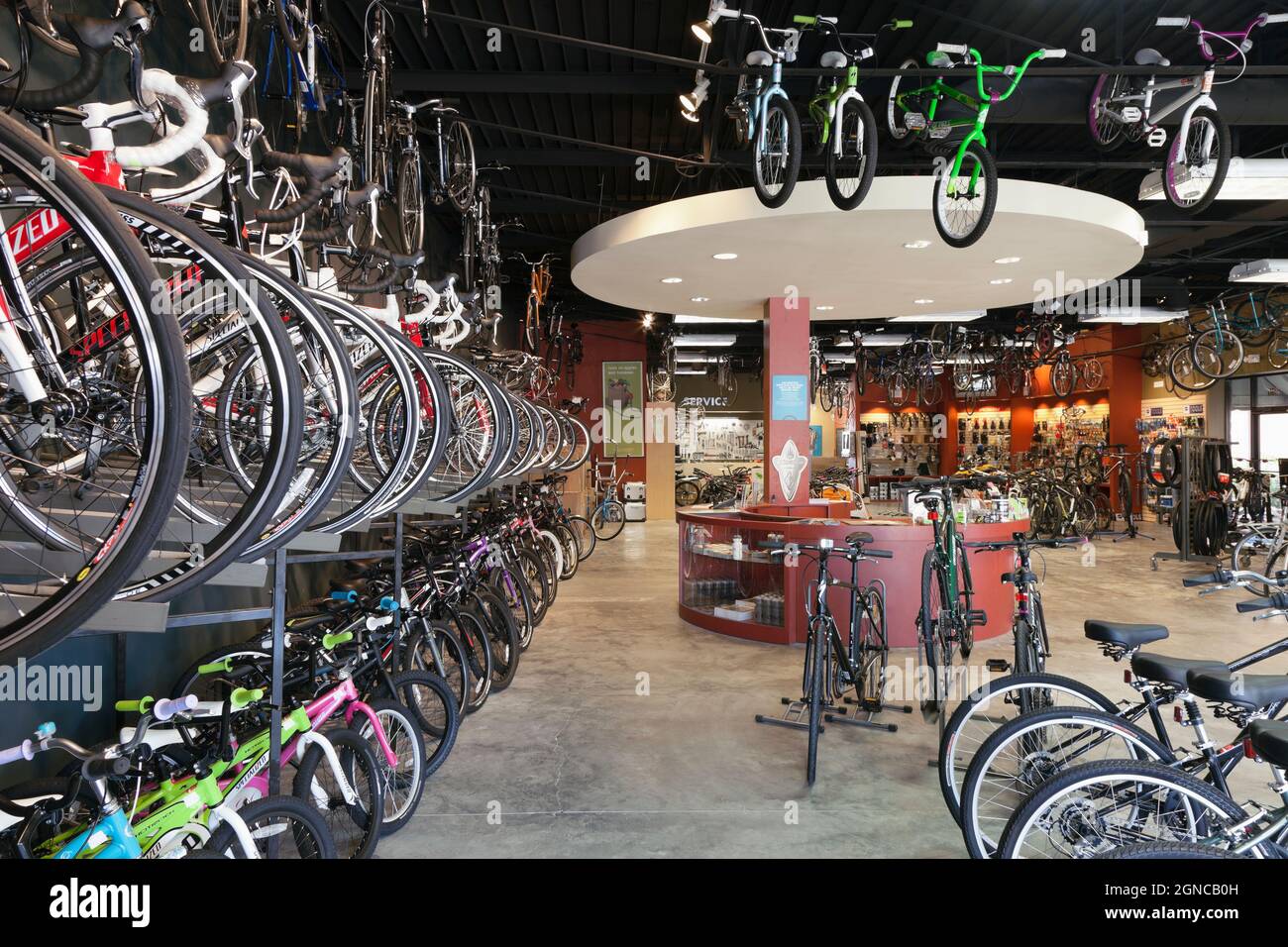 Cycle repair shop interior, rows of bicycles Stock Photo - Alamy