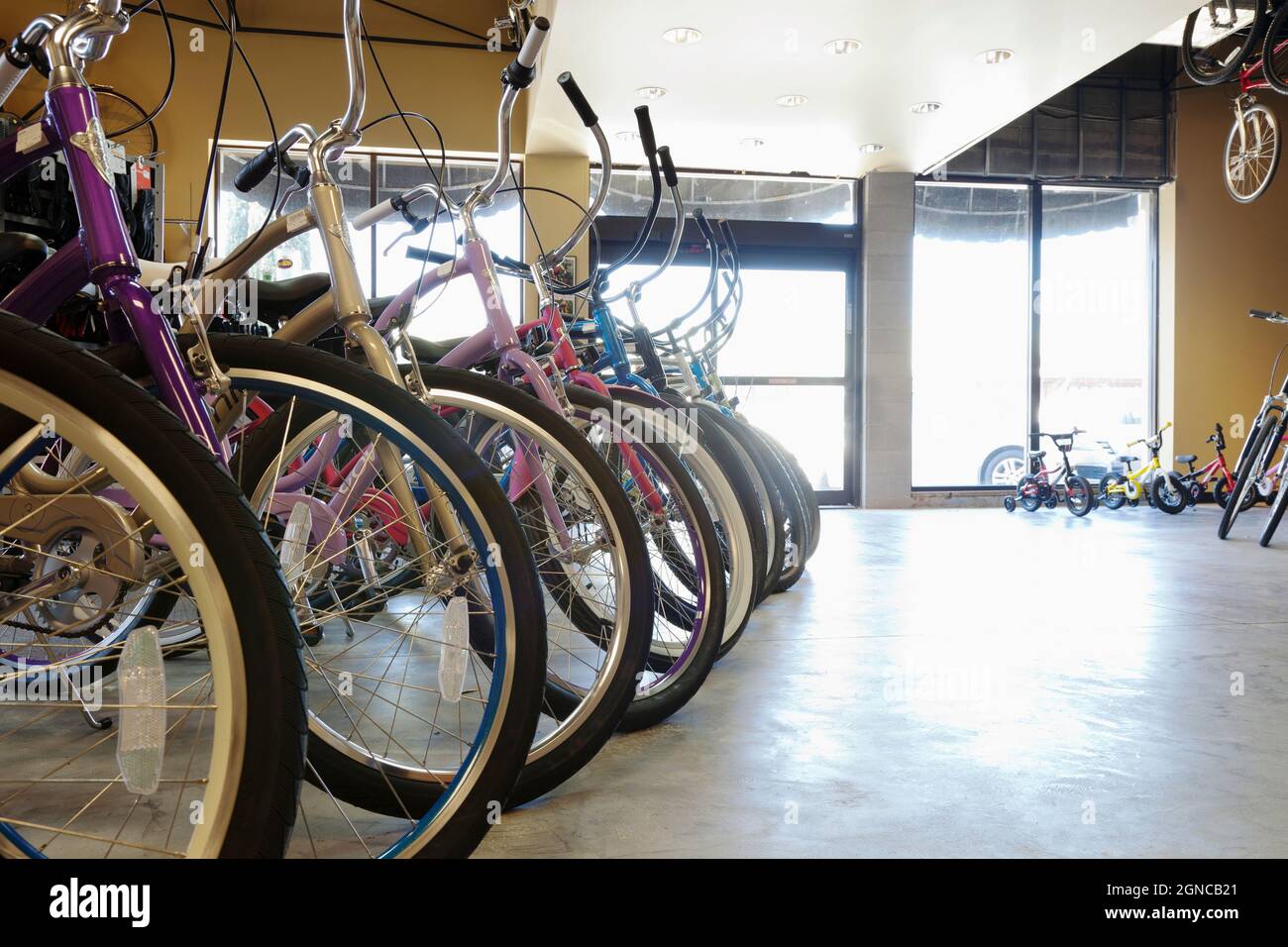 Cycle repair shop interior, rows of bicycles Stock Photo - Alamy