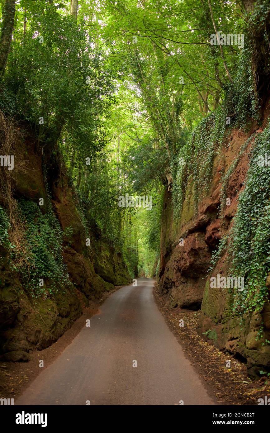 West somerset and taunton hi-res stock photography and images - Alamy