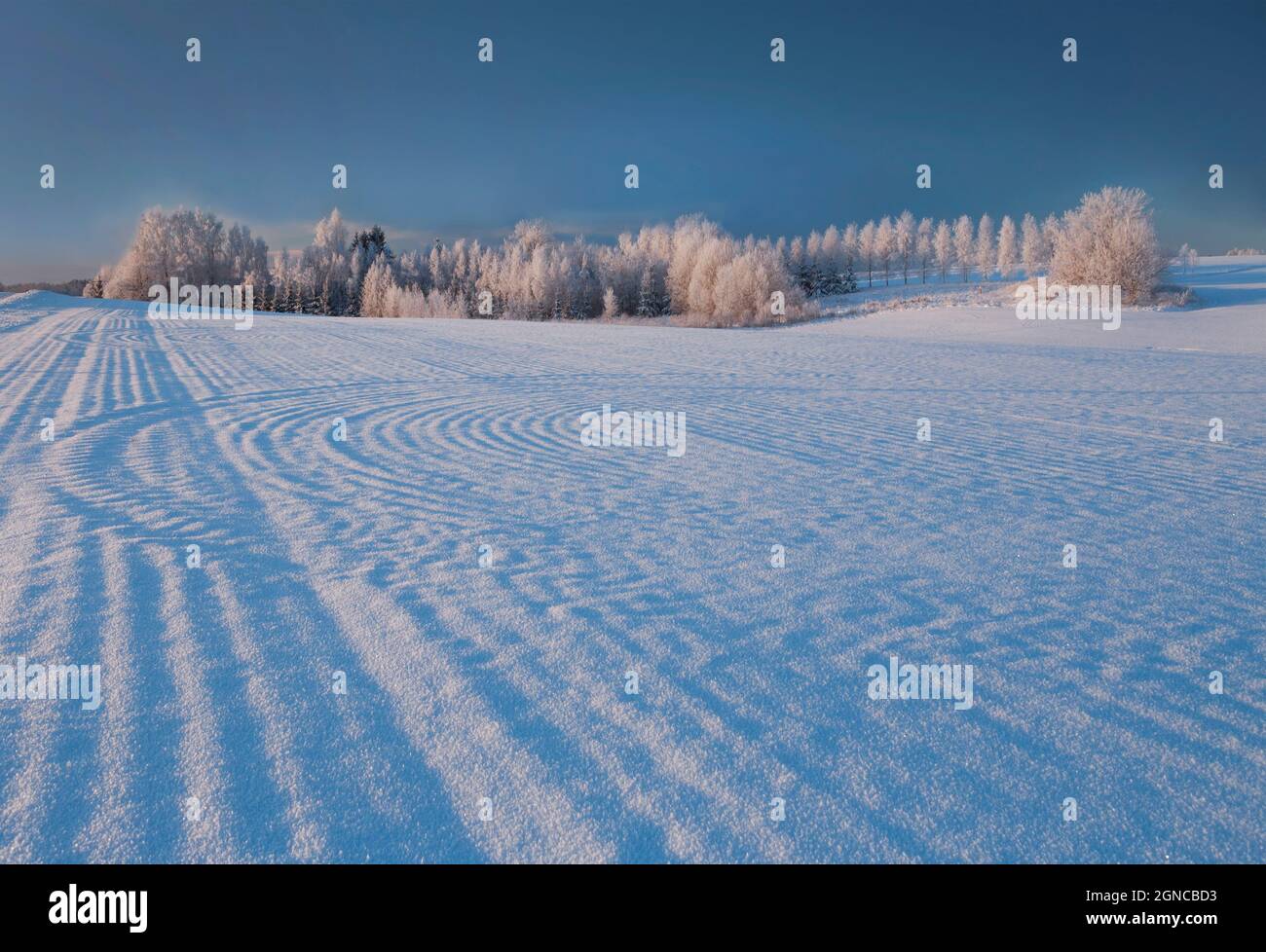 Winter landscape, pattern of ridges on a snow-covered field made by ...