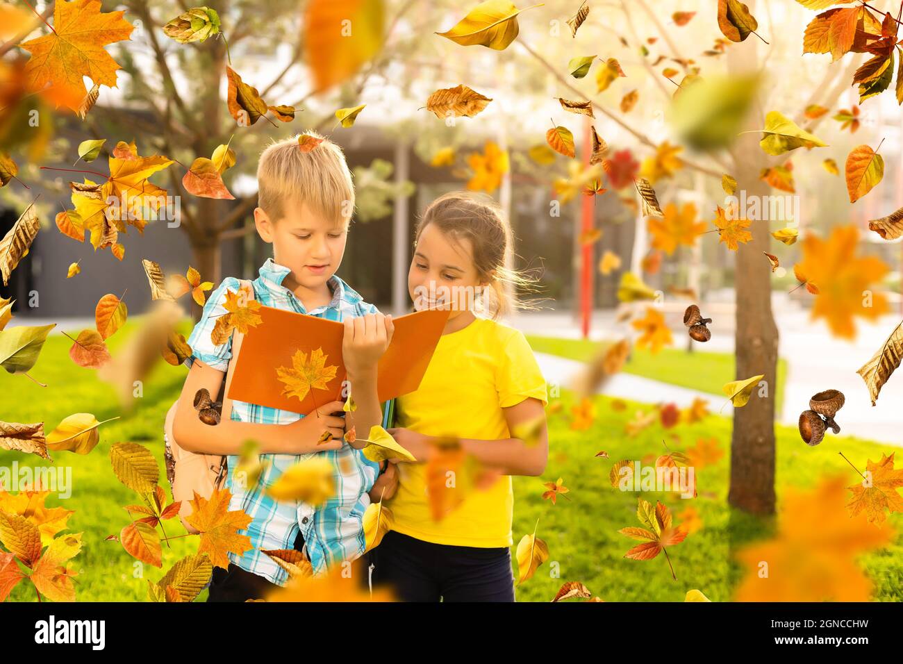 children read a book in autumn Stock Photo - Alamy