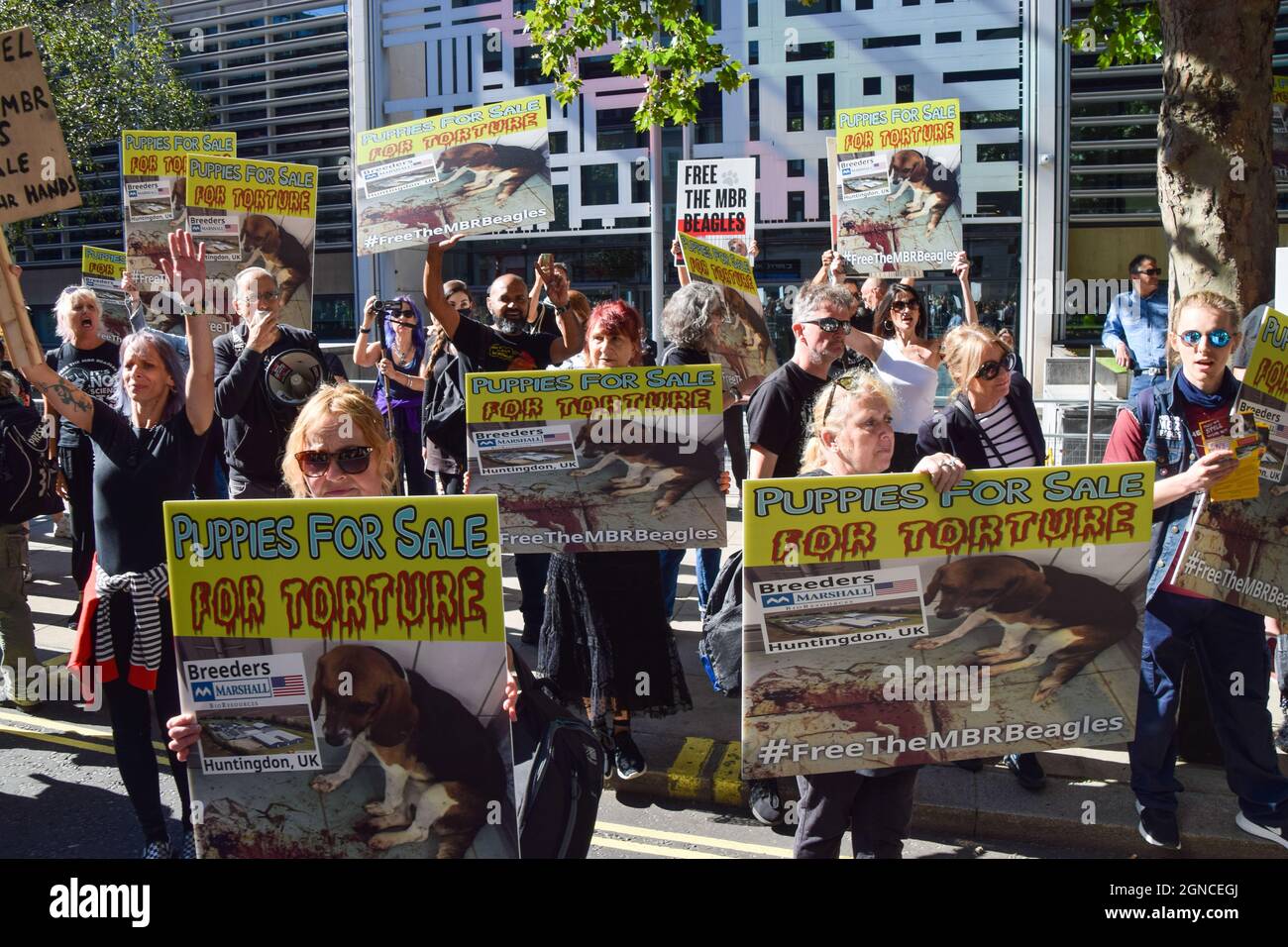 Marshall bioresources hi-res stock photography and images - Alamy