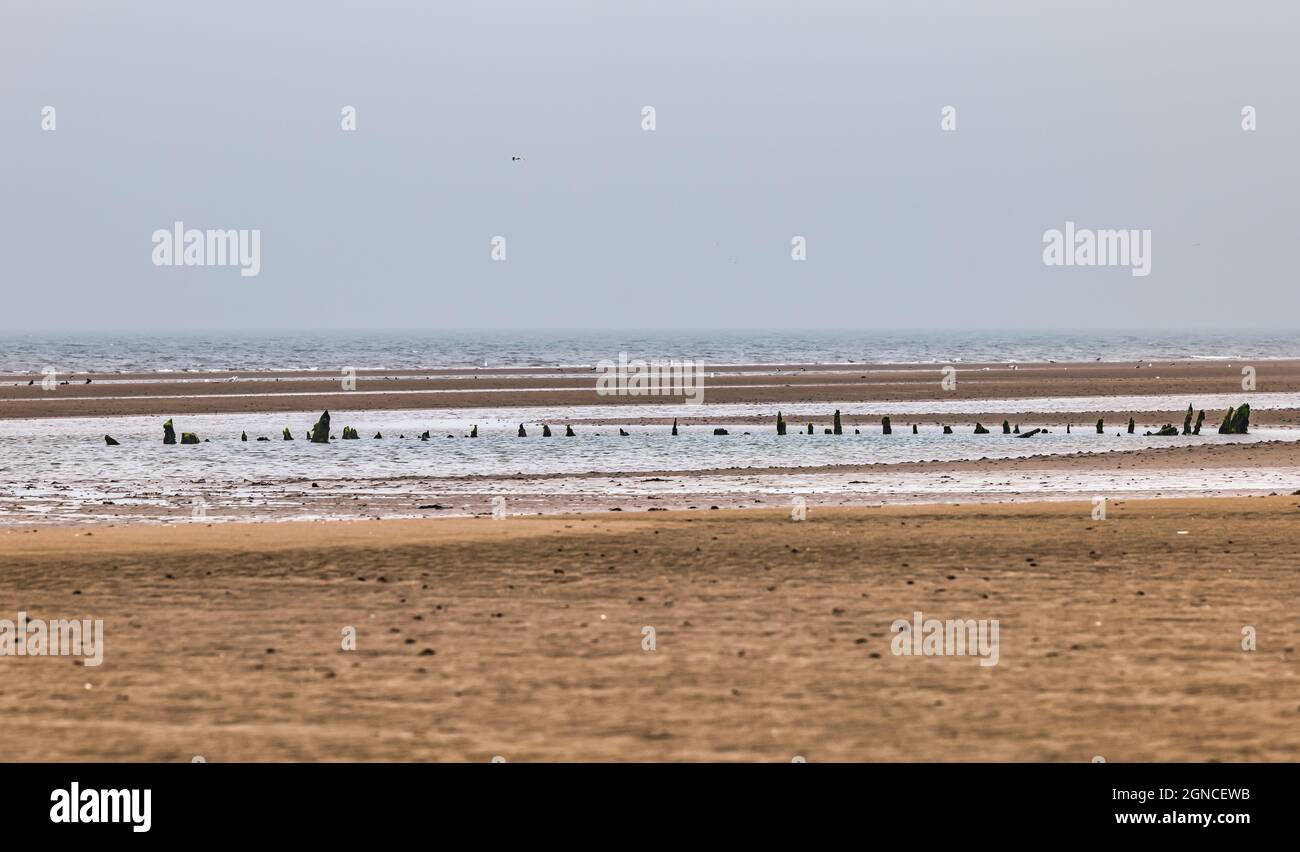 Wreck of old historic ketch transport ship buried in sand at low tide ...