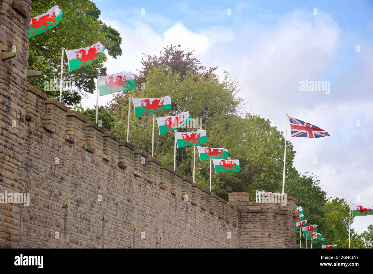 Welsh flags flying above the stone walls of Cardiff Castle, Wales ...