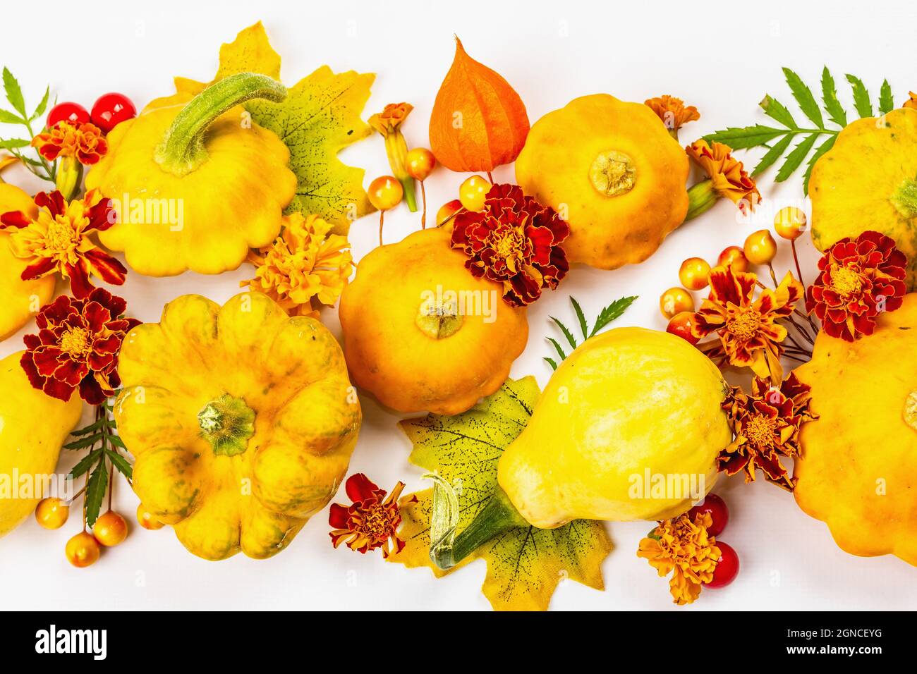 Composition pumpkins autumn flowers berries hi-res stock photography ...
