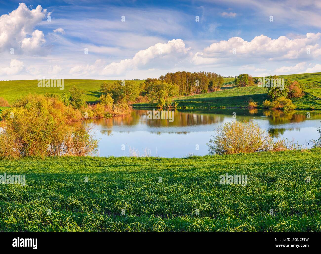 Sunny spring scene on the small pond. Beautiful outdoor view of the ...