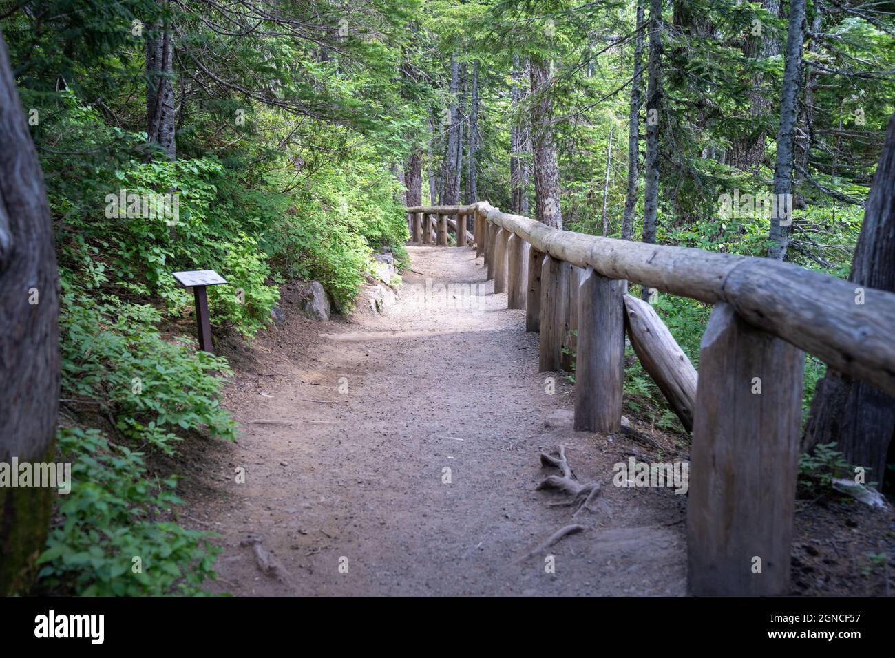 The Narada Falls waterfall trail in Mt. Rainier National Park in ...