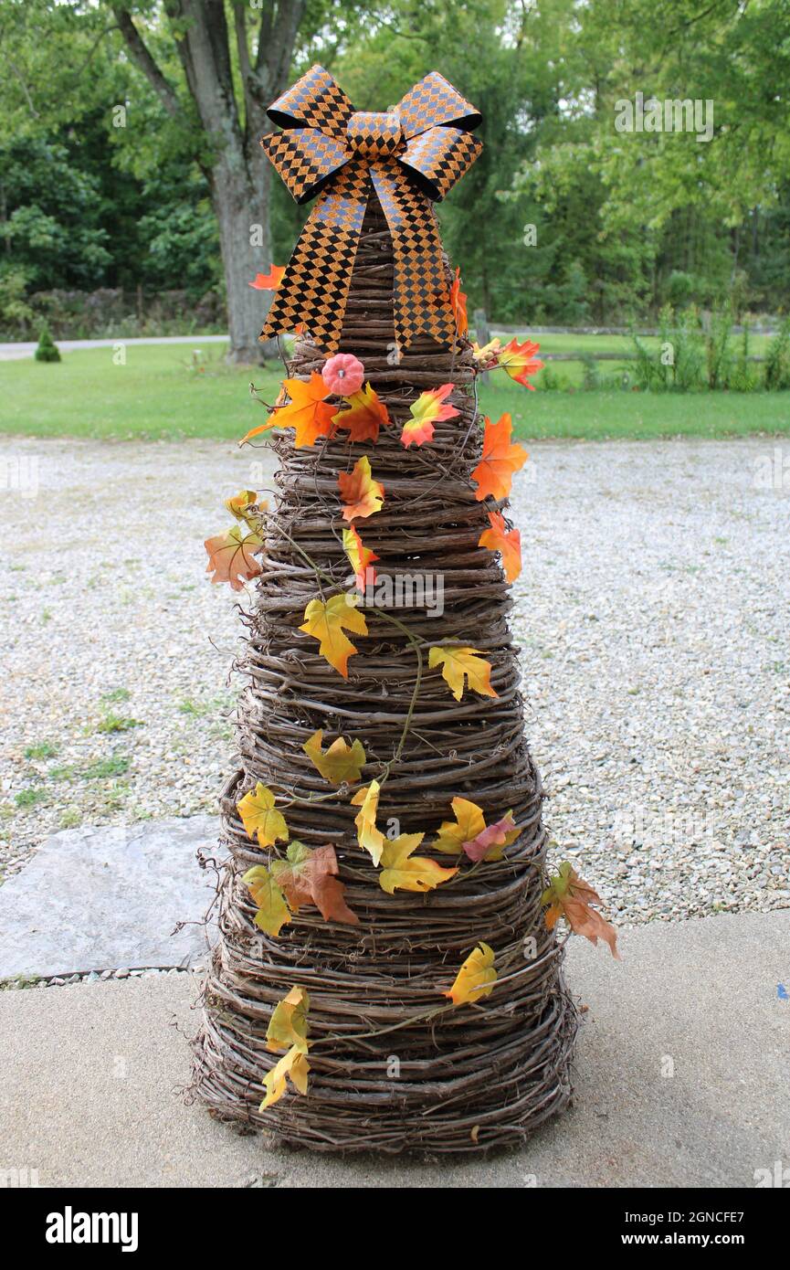 Decorative fall tree with fall color leaves Stock Photo - Alamy