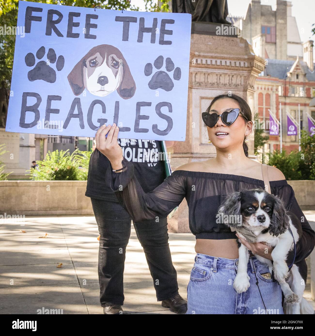 Camp beagle hi-res stock photography and images - Alamy