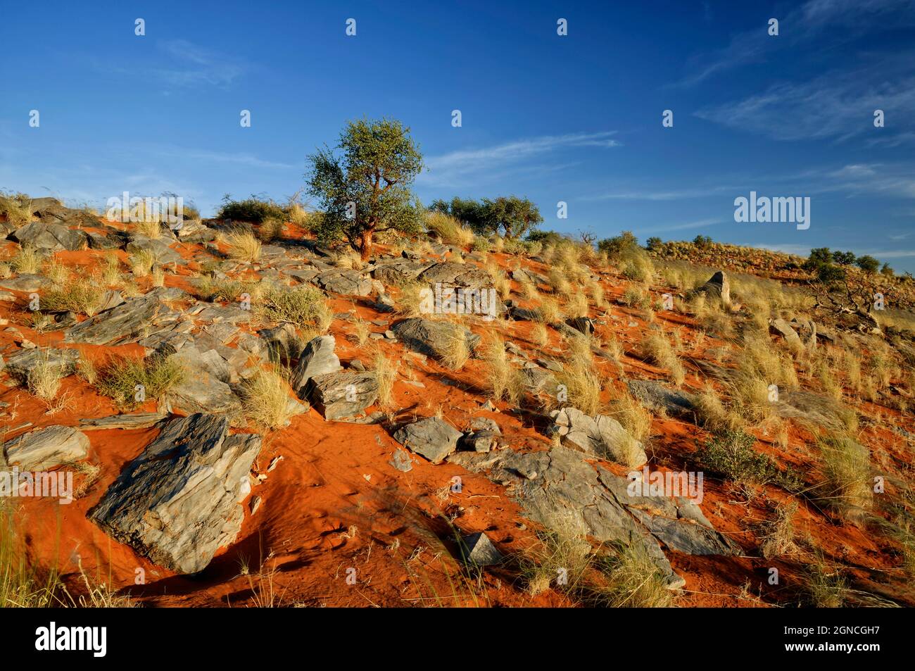 Marble mountain (blue marble) in Tsondab Valley Scenic Reserve, Namib ...
