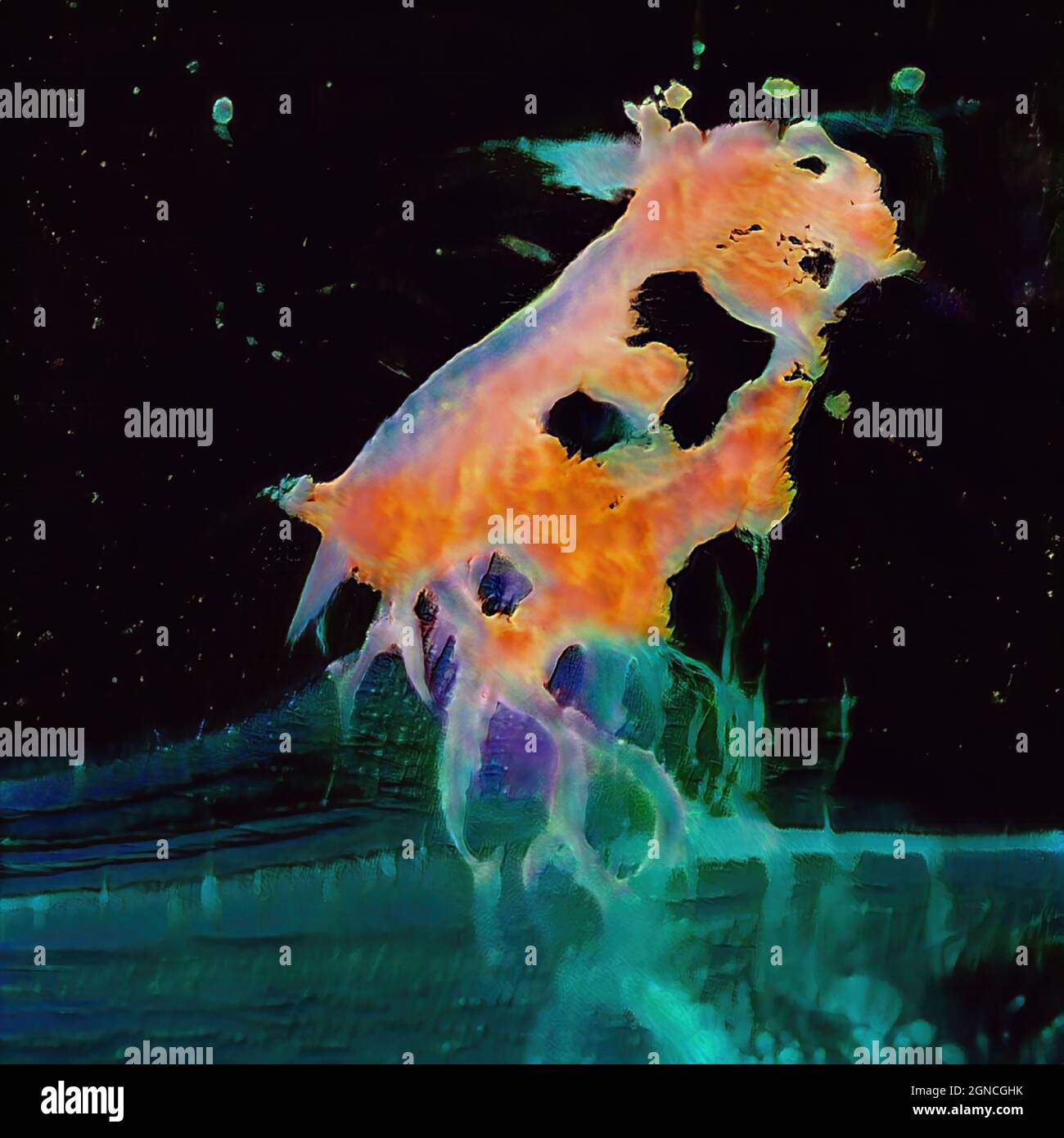 STP Screen Transfer Process - 311 - Neural Net 2 Stock Photo - Alamy