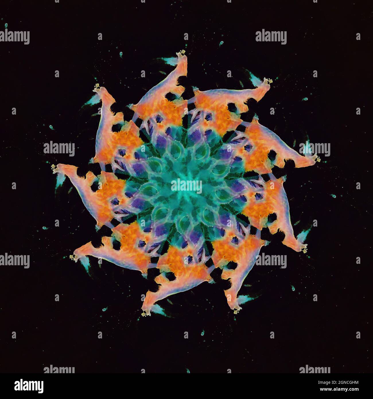 STP Screen Transfer Process - 311 - Neural Net 2 1 Mandala Stock Photo ...