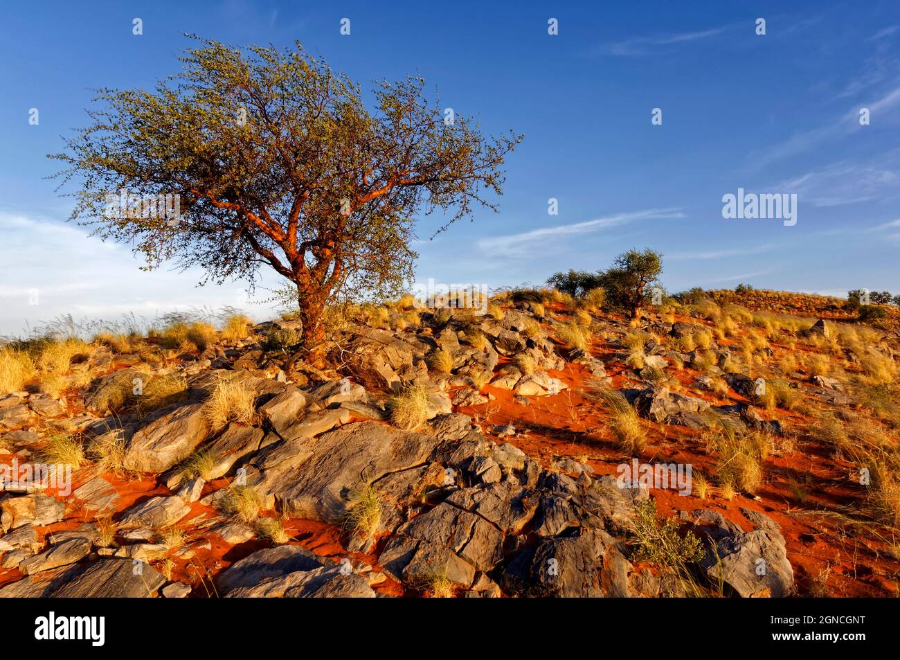 Marble mountain (blue marble) in Tsondab Valley Scenic Reserve, Namib ...