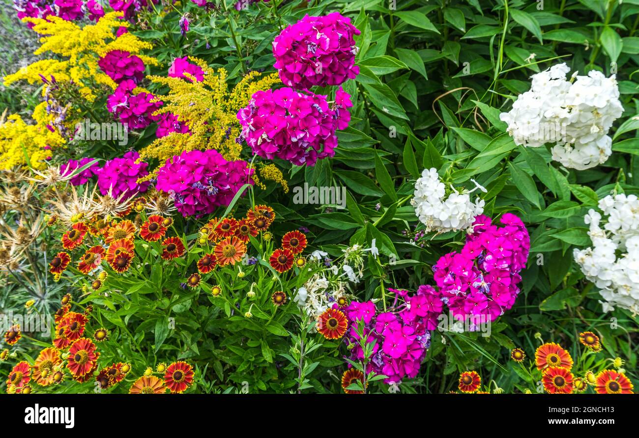 A colorful mix of flowers in a garden at Point Defiance Park in Tacoma ...