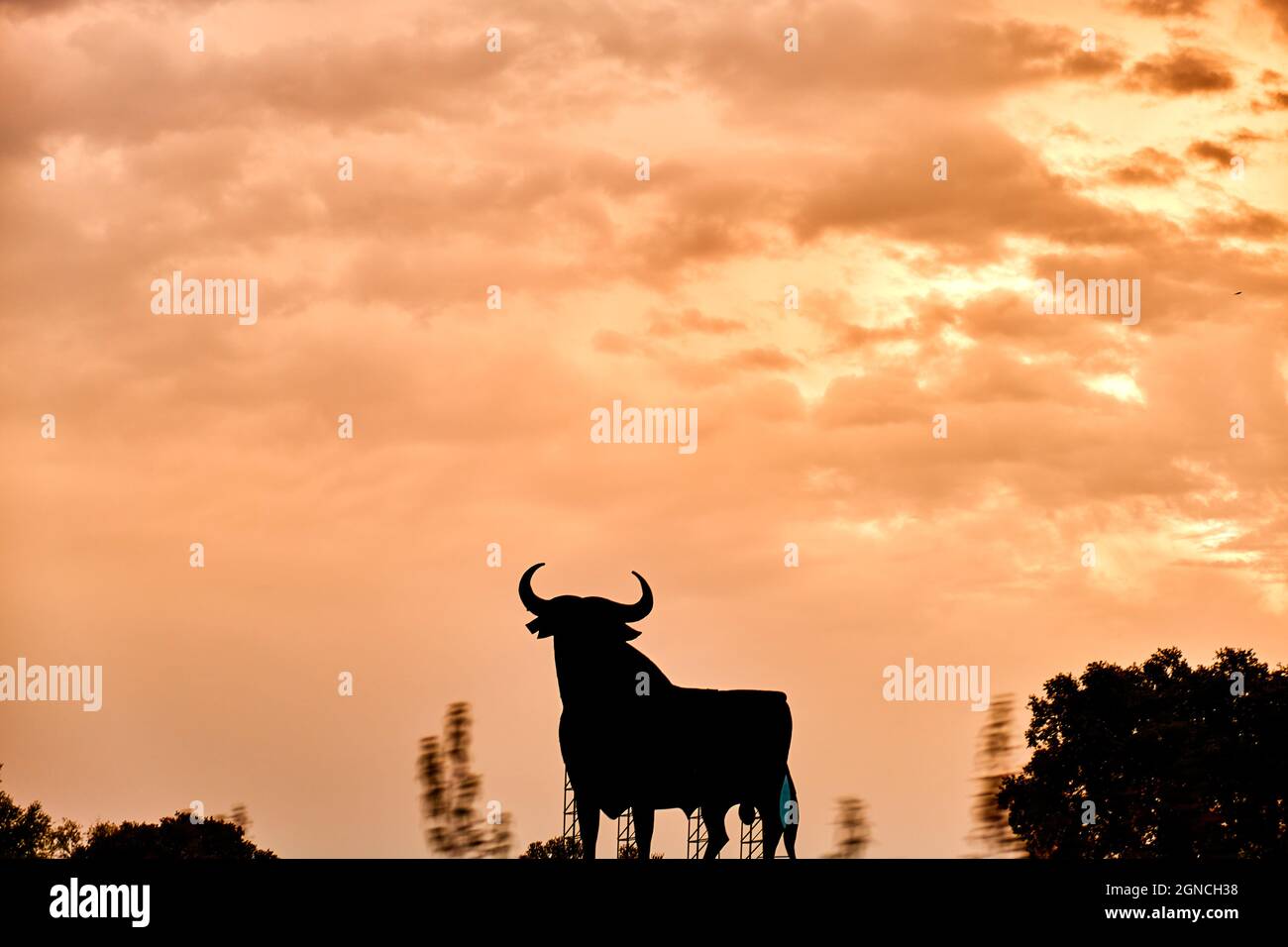 Bull silhouette typical advertising spanish hi-res stock photography ...